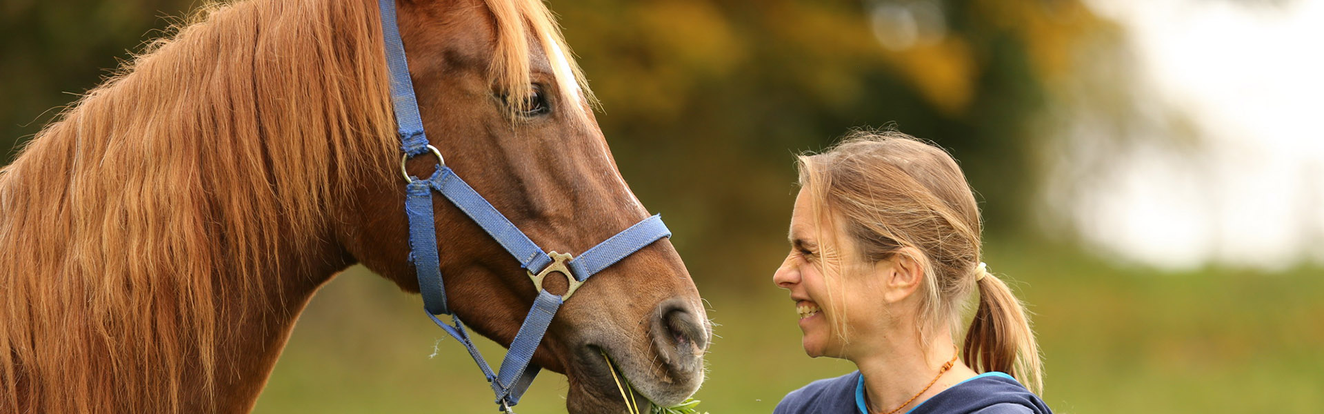 Aliana Mueller | Aliana Müller – Biologist • Physiotherapist • Riding ...