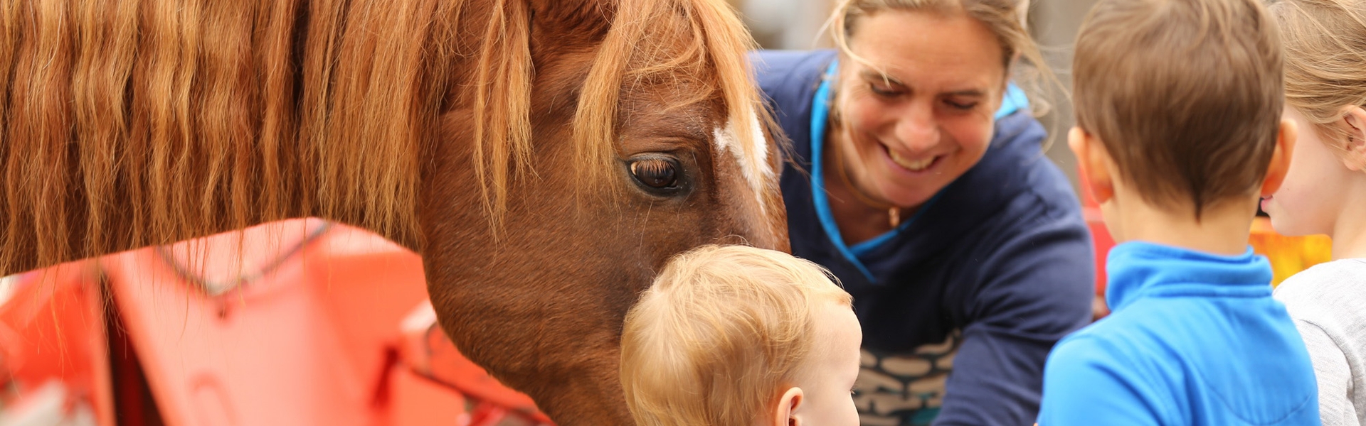 HorseFun4Kids | Aliana Müller – Biologist • Physiotherapist • Riding ...